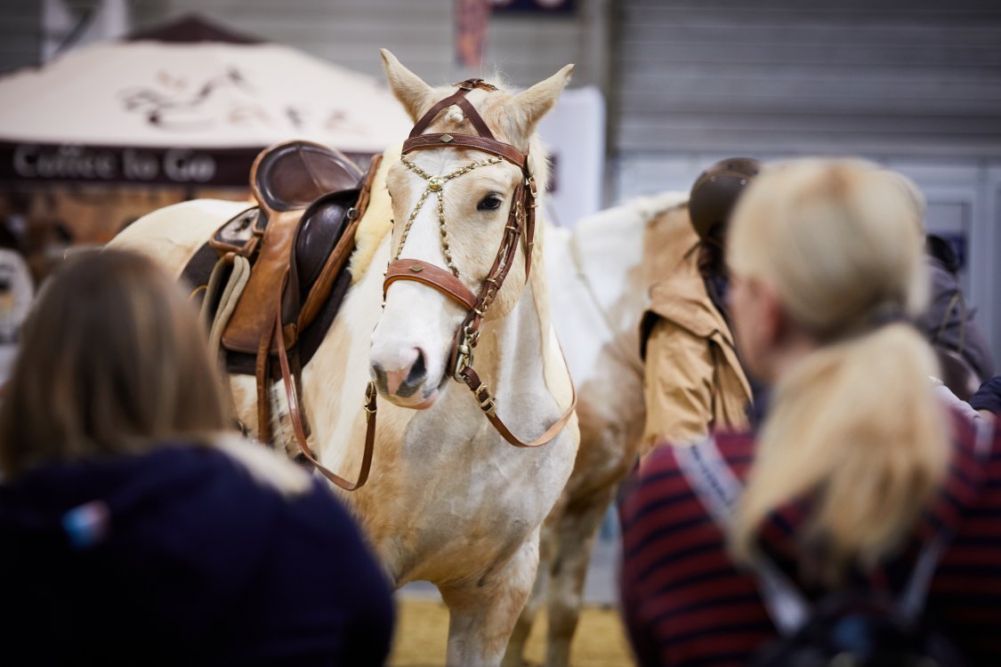 EQUITANA Essen