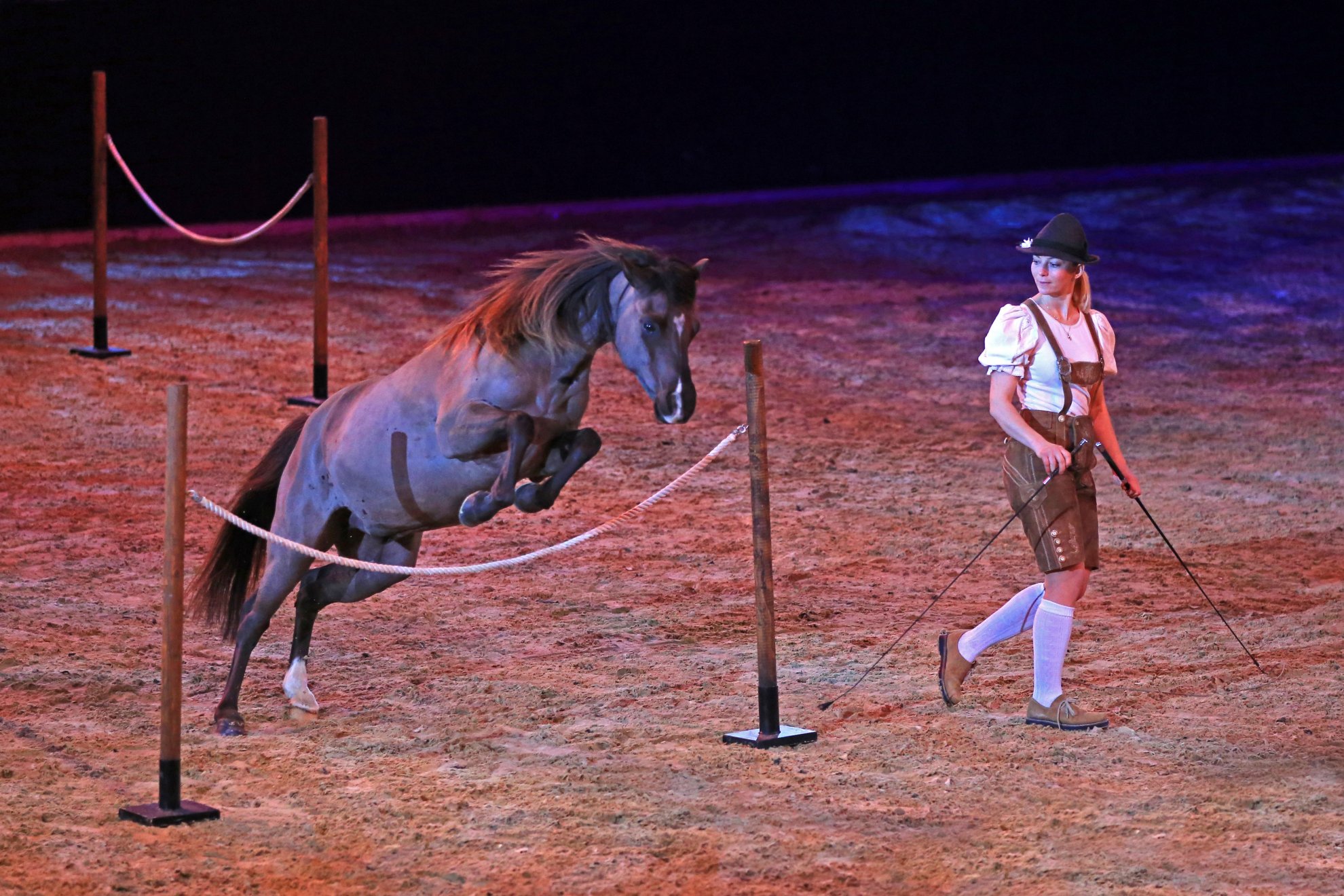 Hoppi Toppi - die Familienshow