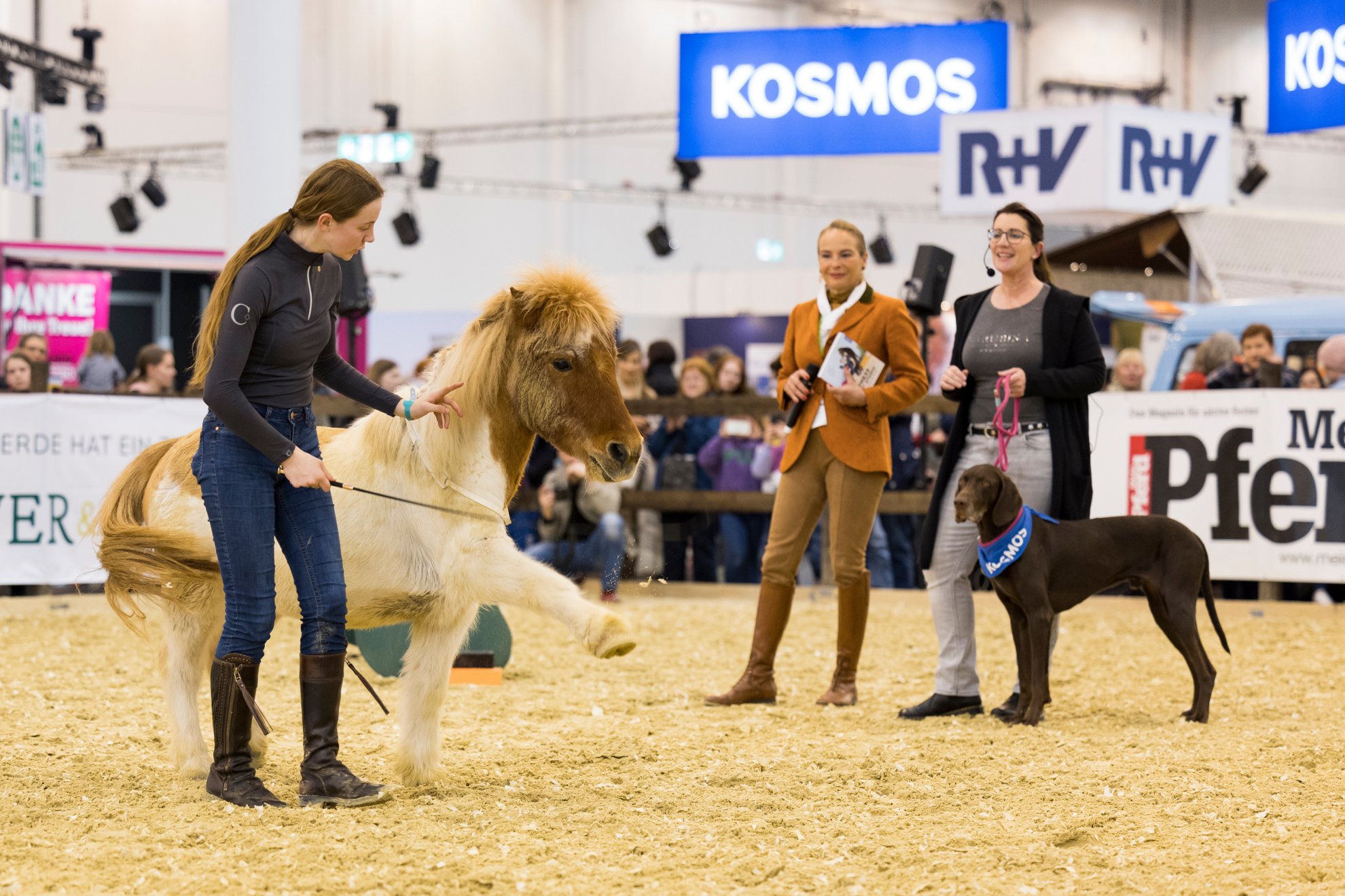Für Medien Equitana Essen