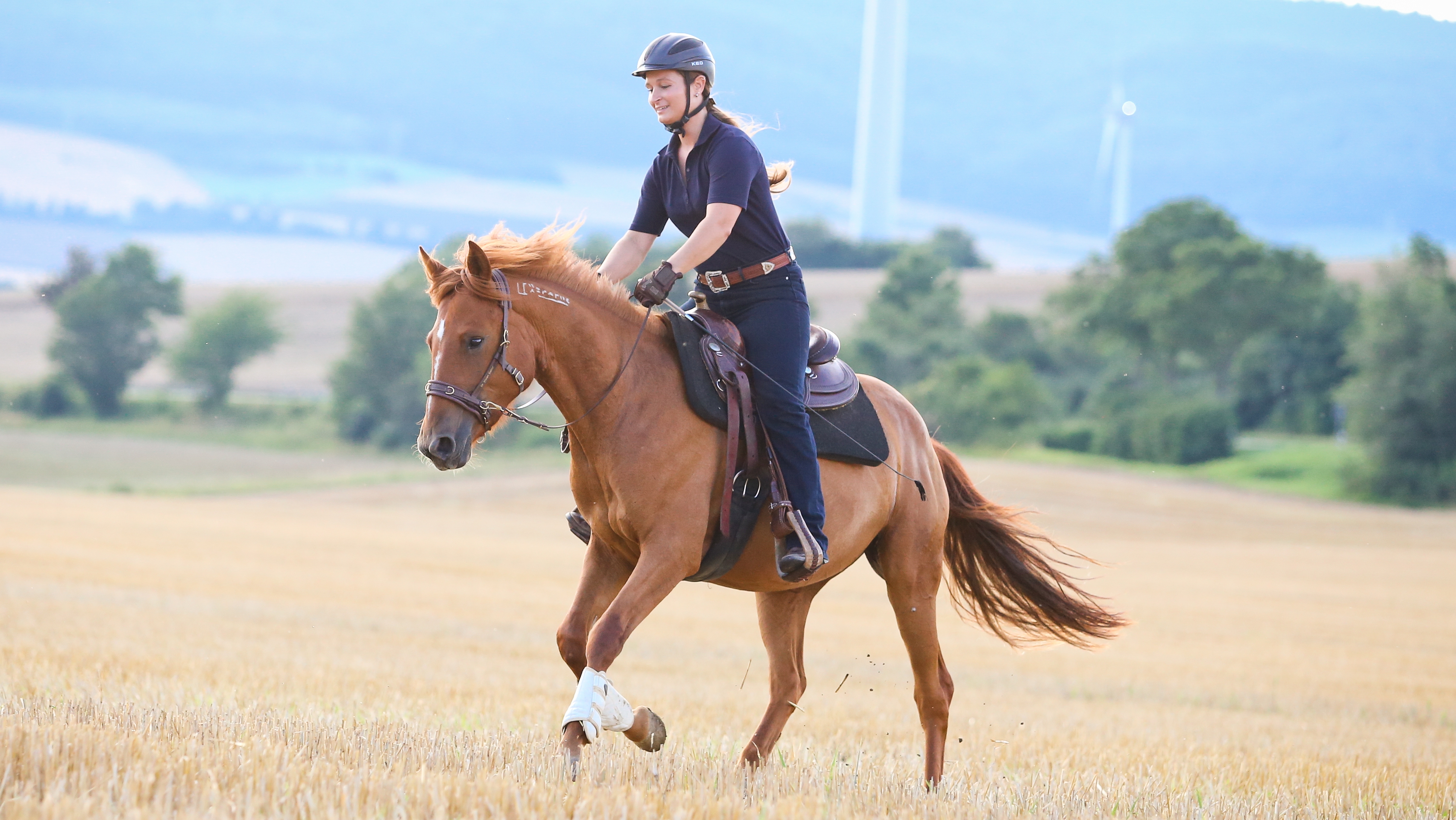Gebisslos reiten - 3 Tipps